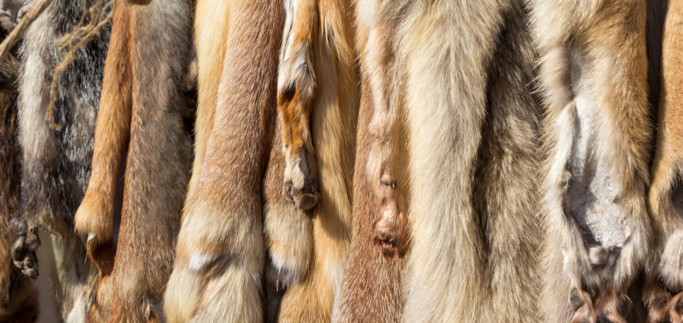 Hide Animal Part